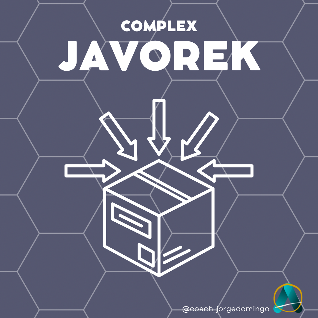 RELACIONES JAVOREK – ACSAS Academy